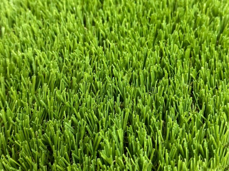 Product Iris Journey - Novograss - Your Best Artificial Grass Shop.